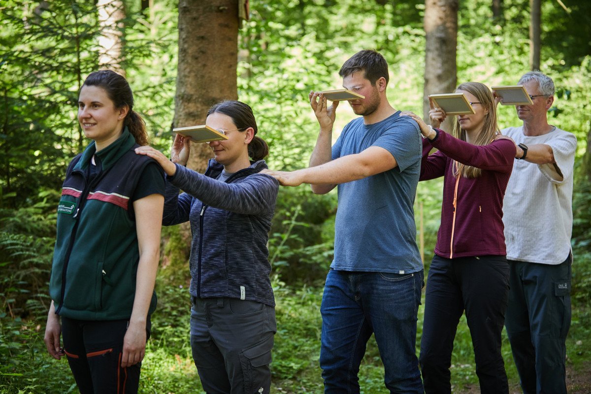 Waldpädagogik in Europa – mit neuen Ideen in die Zukunft