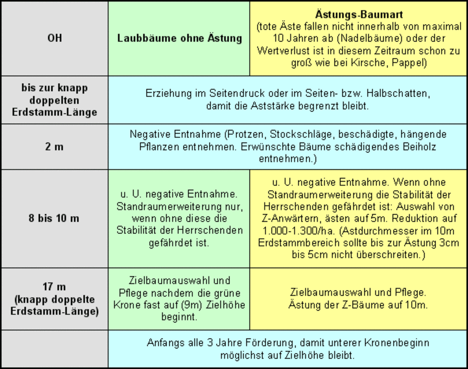 Die Zielbaum-Durchforstung – ein Weg zur Erziehung starken Wertholzes ...
