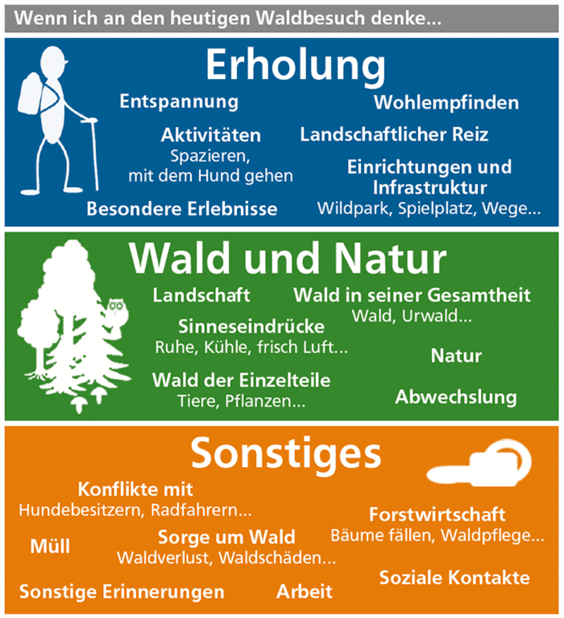 Der Wald: ein Wohlfühlraum - waldwissen.net