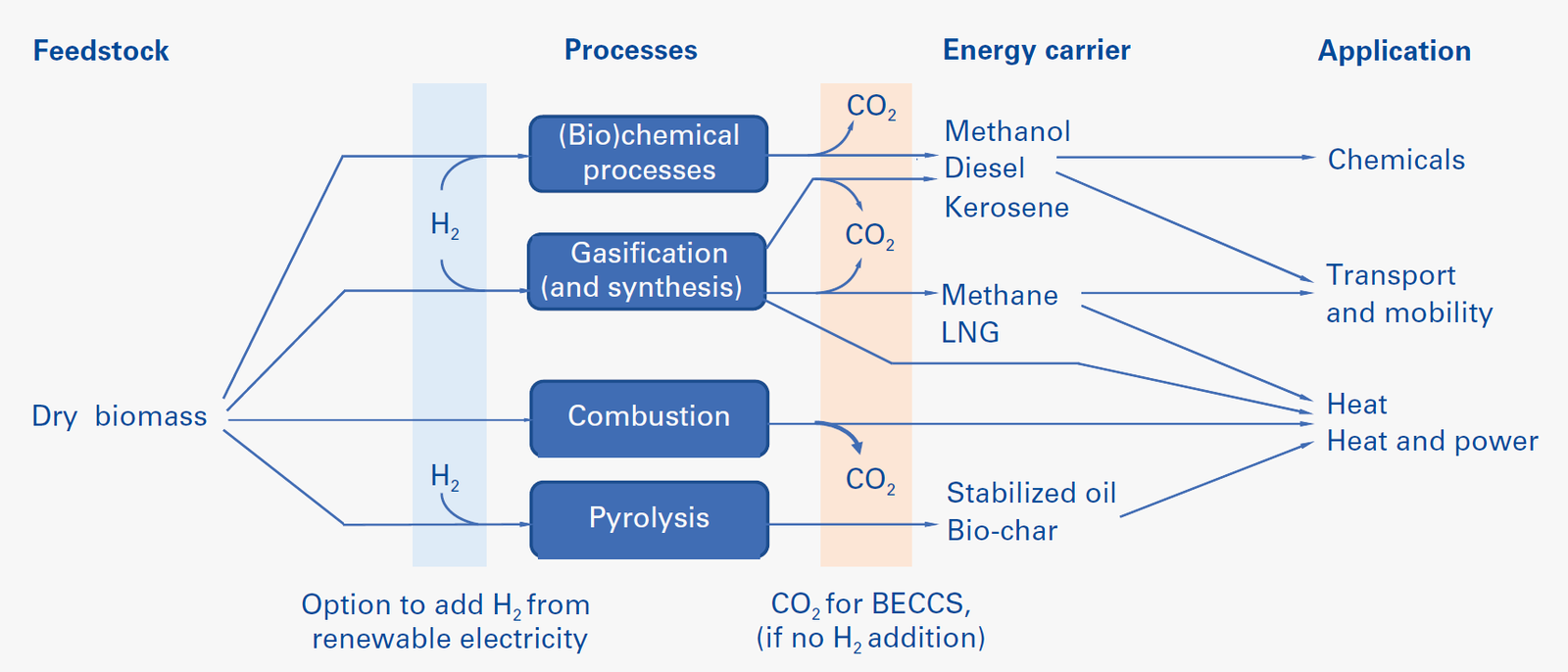 Wood as part of the energy transition - waldwissen.net