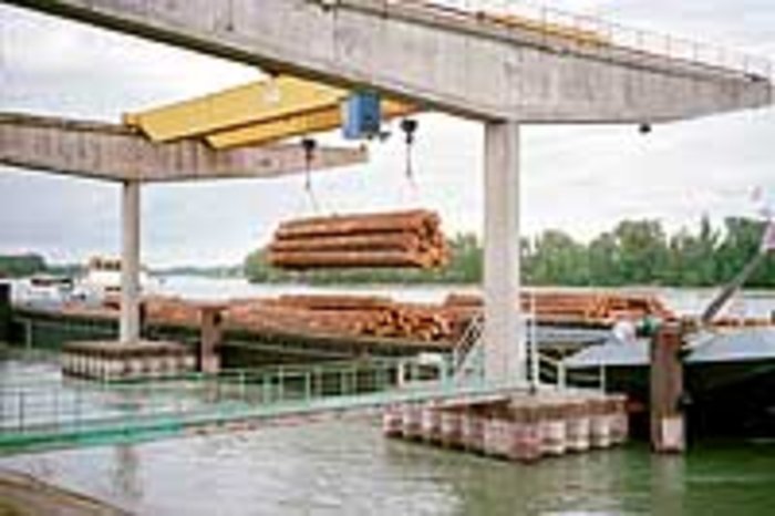 Timber Haulage by Ship - waldwissen.net
