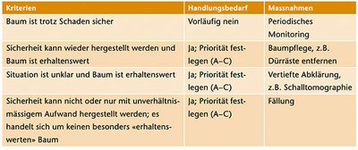 "Visual Tree Assessment" ist eine Methode für bezahlbare Sicherheit im ...