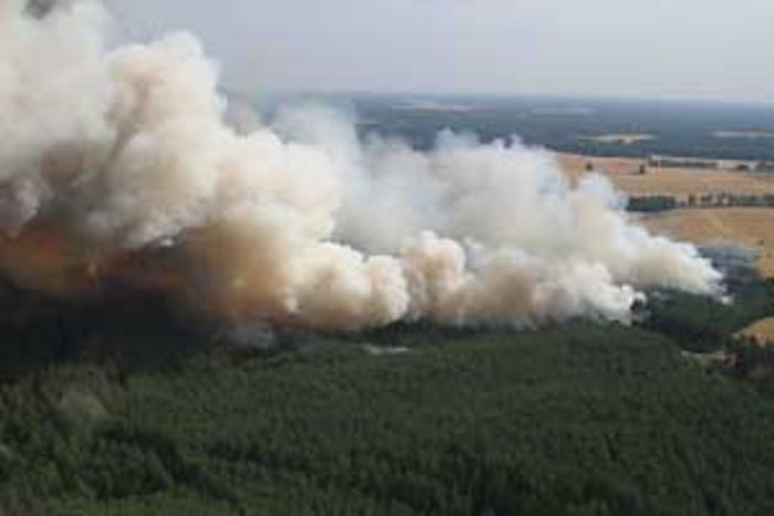 Types and Strategies of Forest Fire Fighting - waldwissen.net