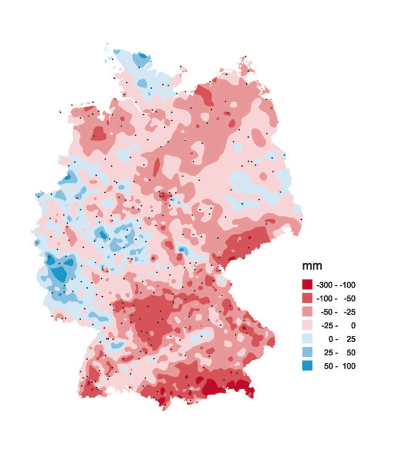 Drought in the forest