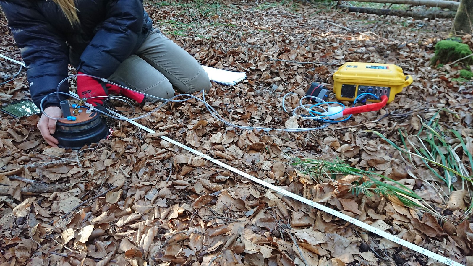 Methane is in the air – the forest soil as a climate savior ...