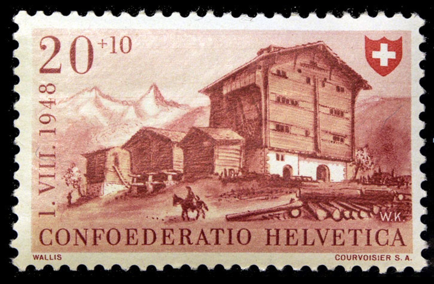 Die Lärche (Larix decidua)