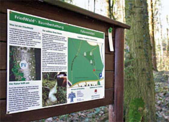 Die letzte Ruhe im Wald - waldwissen.net