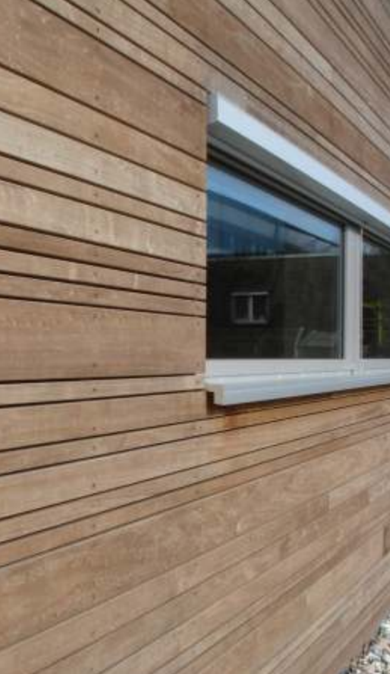 Il pioppo tremolo: una specie arborea pioniera con un potenziale ...