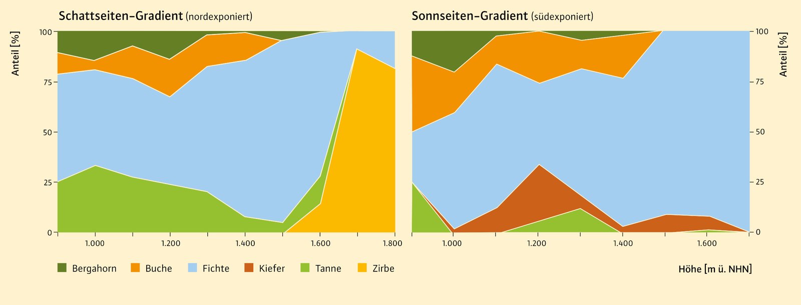 Biodiversität entlang von Höhengradienten der Bayerischen Alpen