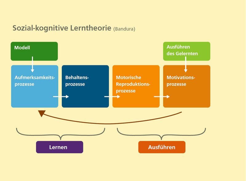 Lernpsychologie in der Waldpädagogik