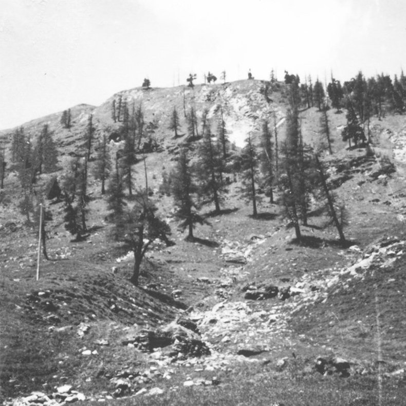The history and future of the forests at the upper timberline ...