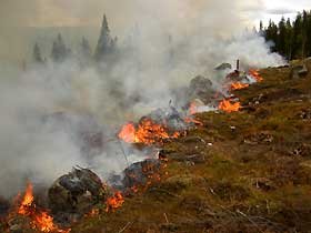 Types and Strategies of Forest Fire Fighting - waldwissen.net