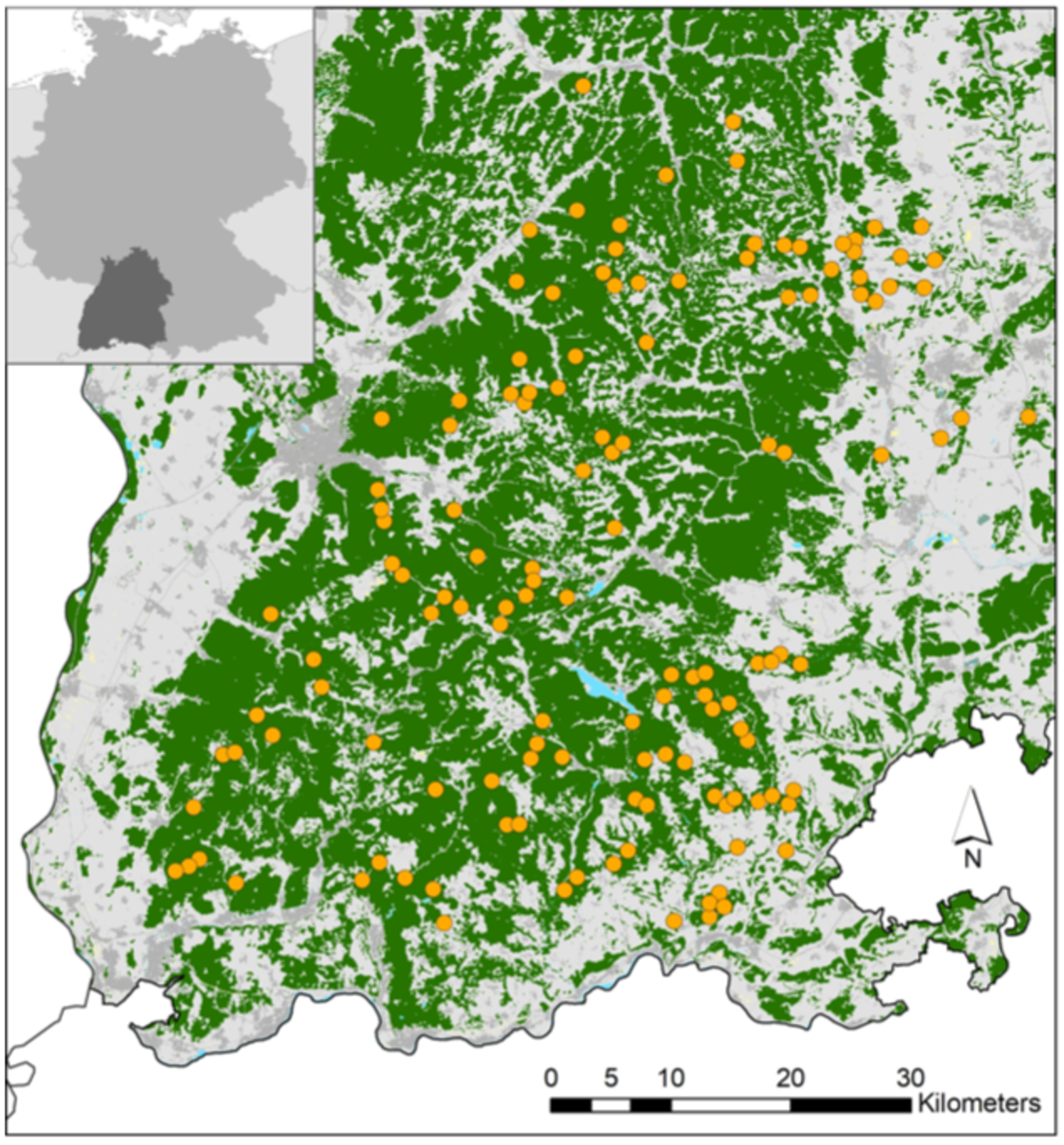 Whither the microhabitats? Value of living and dead trees in the Black ...