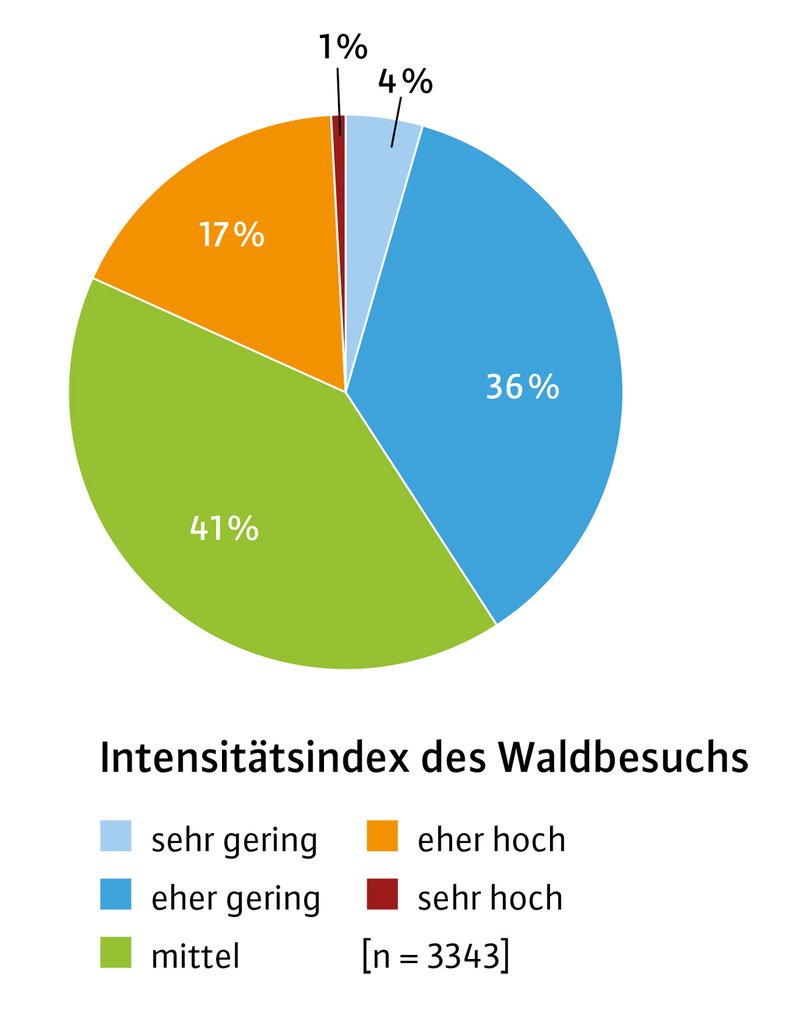 Erholungsort Wald: den Alltag zurücklassen - waldwissen.net