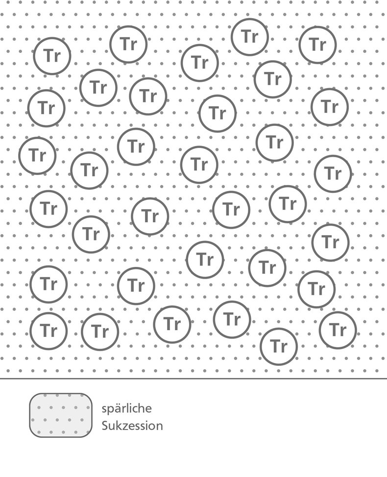 Unterschätzte Pioniere - waldwissen.net