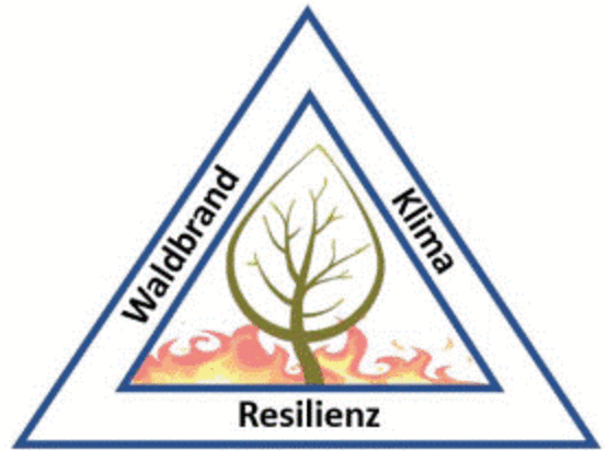 Feuer verstehen, Waldbrände gezielt bekämpfen - waldwissen.net