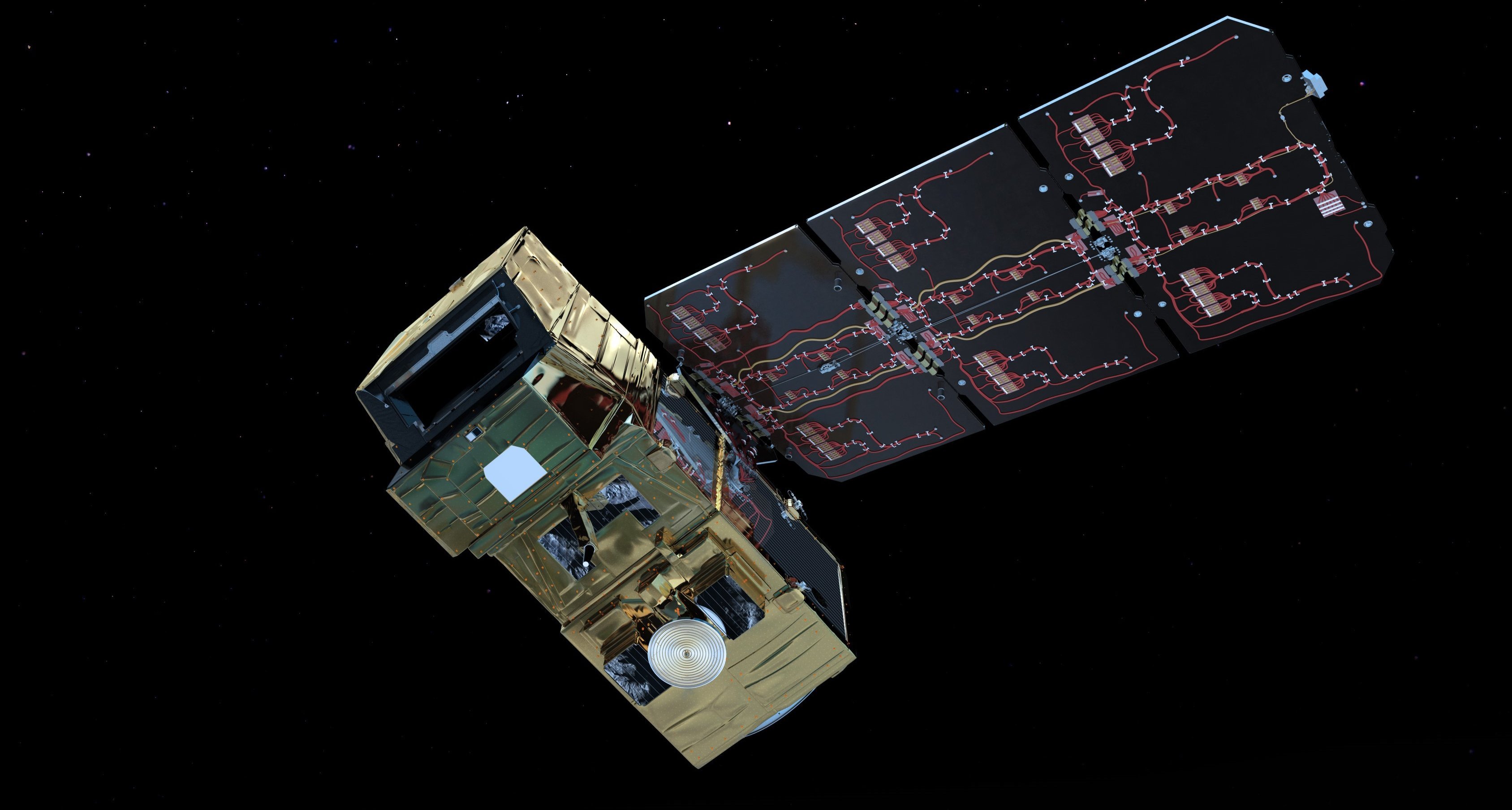 Tracking the forest - with the help of space “sentinels”