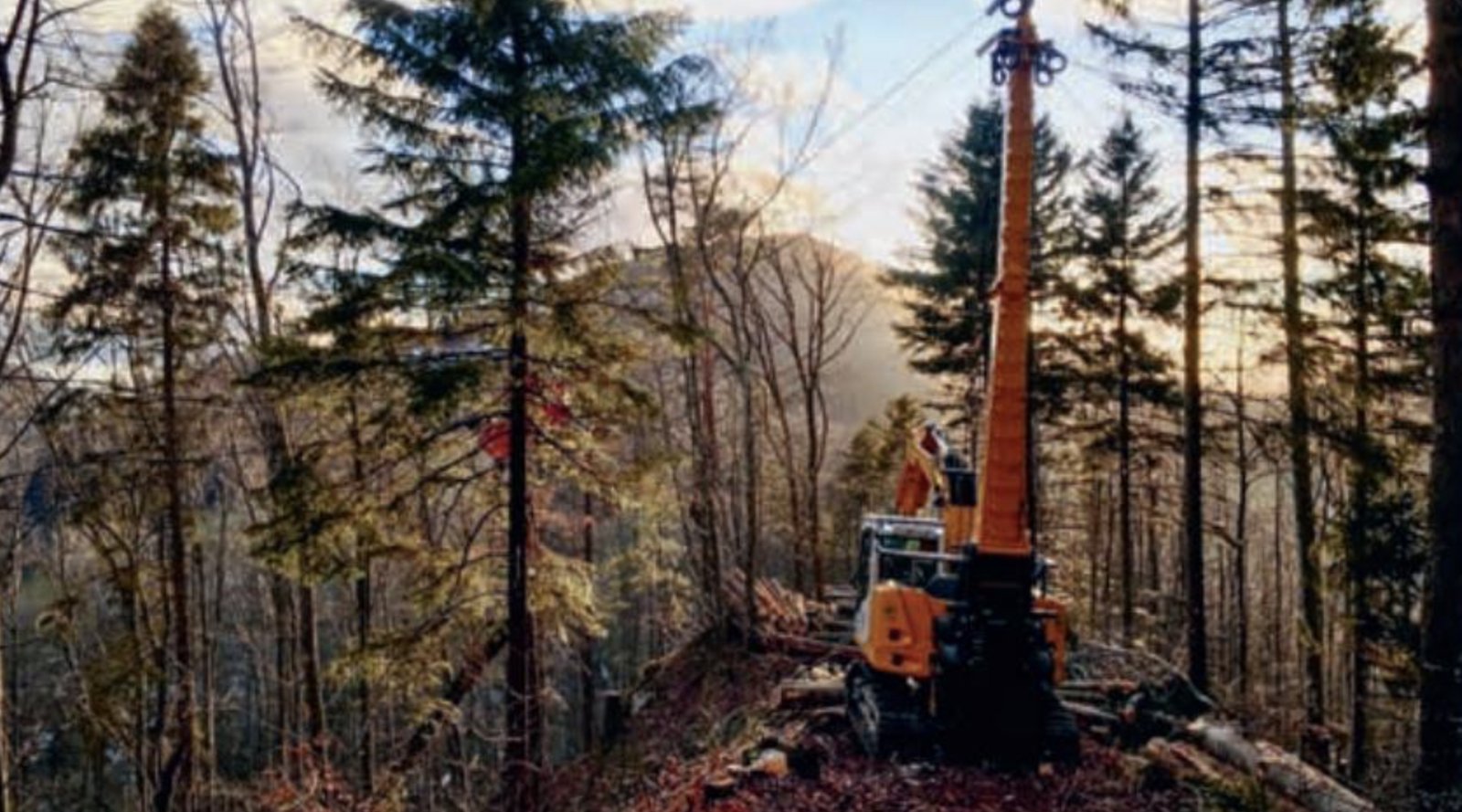 Câble-mât combiné en action - waldwissen.net