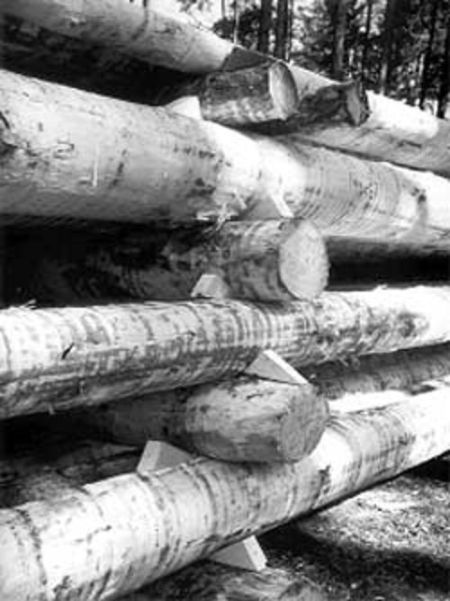 Timber Storage – Dry Storage - waldwissen.net