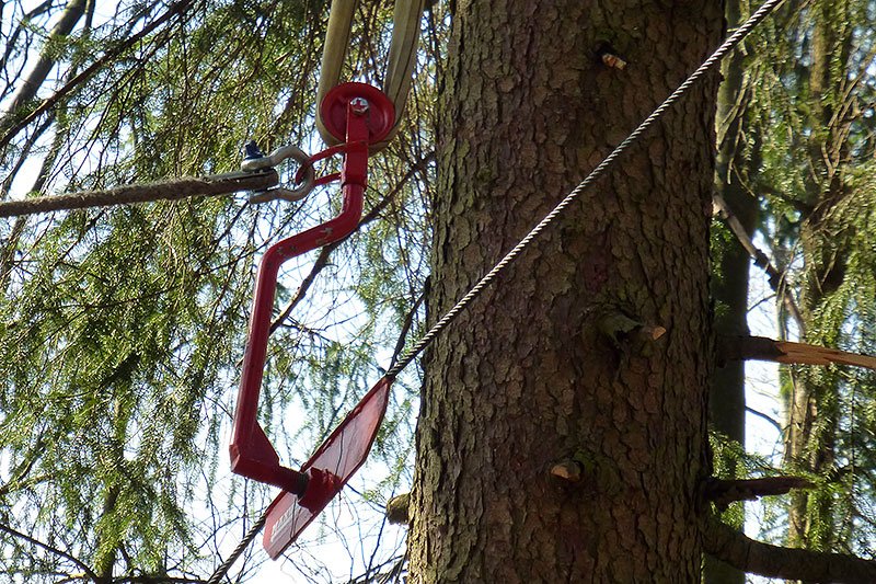 Over and above slopes and wetlands: extracting timber with a small ...