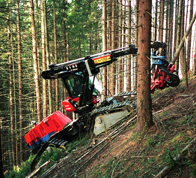 Technik für die Holzernte im Hochgebirge - waldwissen.net