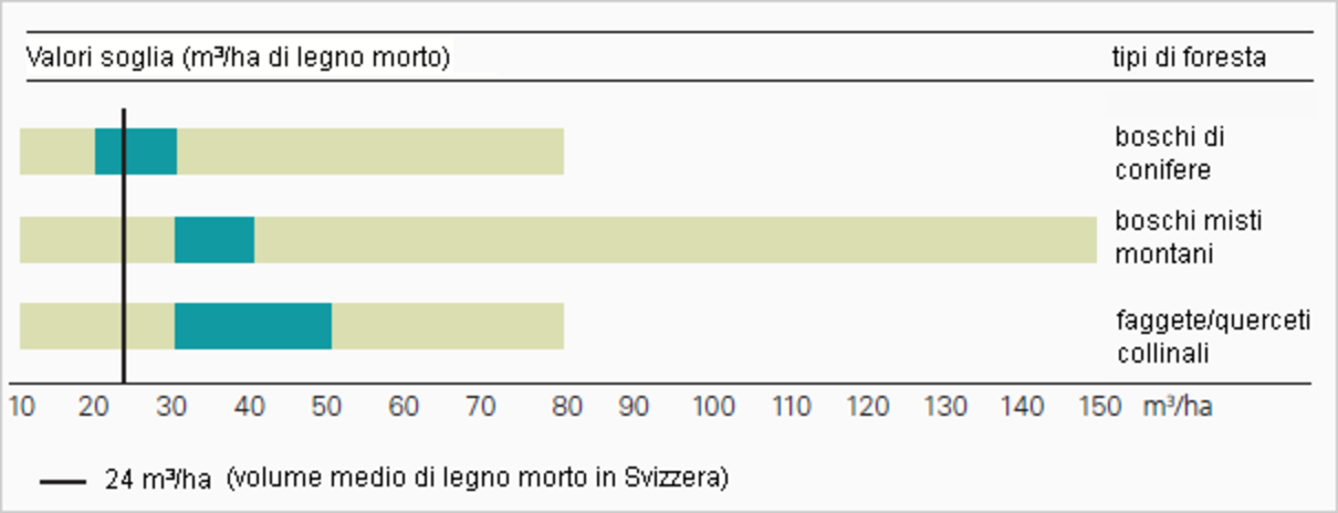 Il legno morto presente nelle foreste: origine, importanza e promozione ...