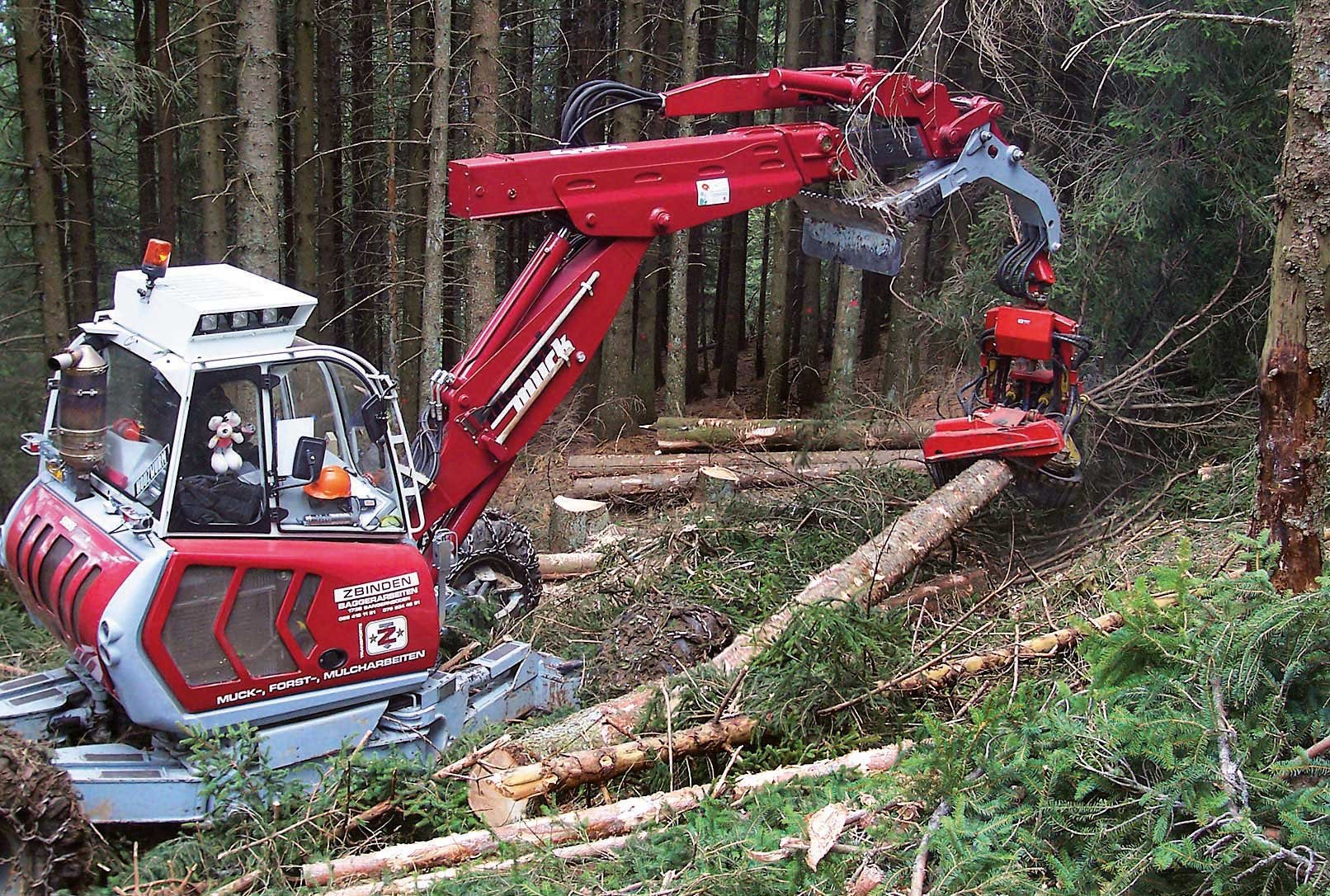 Tree Harvester
