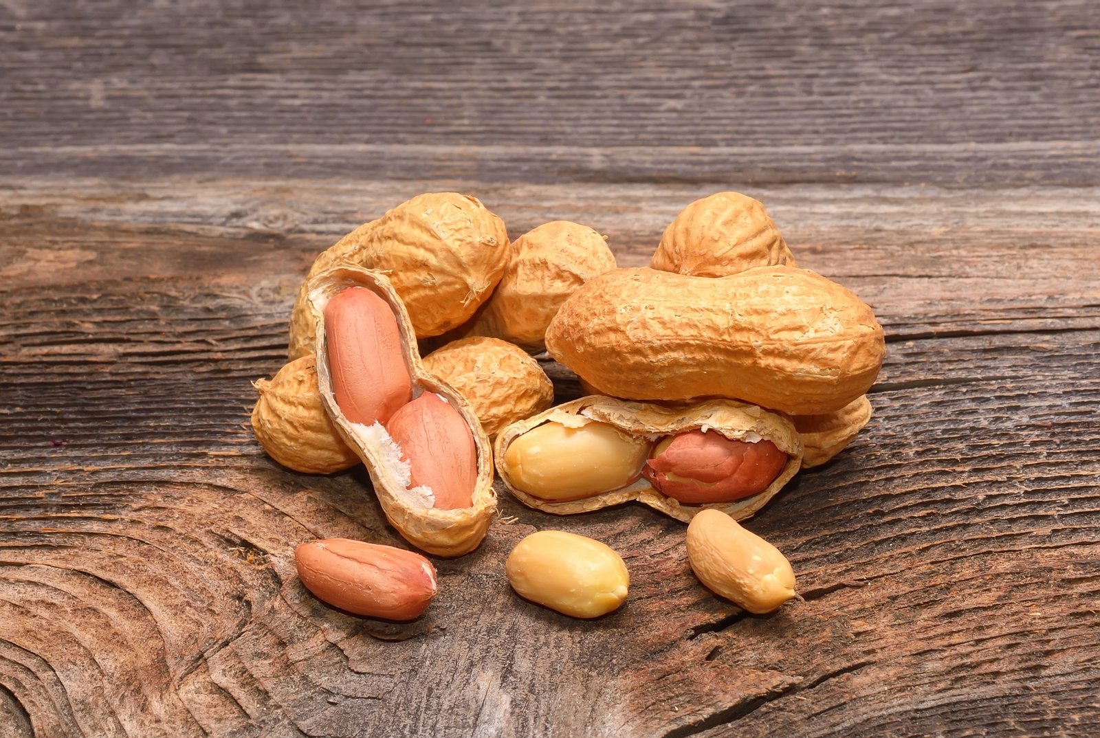 Nuts and almond kernels - a closer look at nuts and nut trees ...