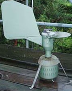 Österreich: Buche und Fichte produzieren mehr Pollen, Grünerle weniger ...