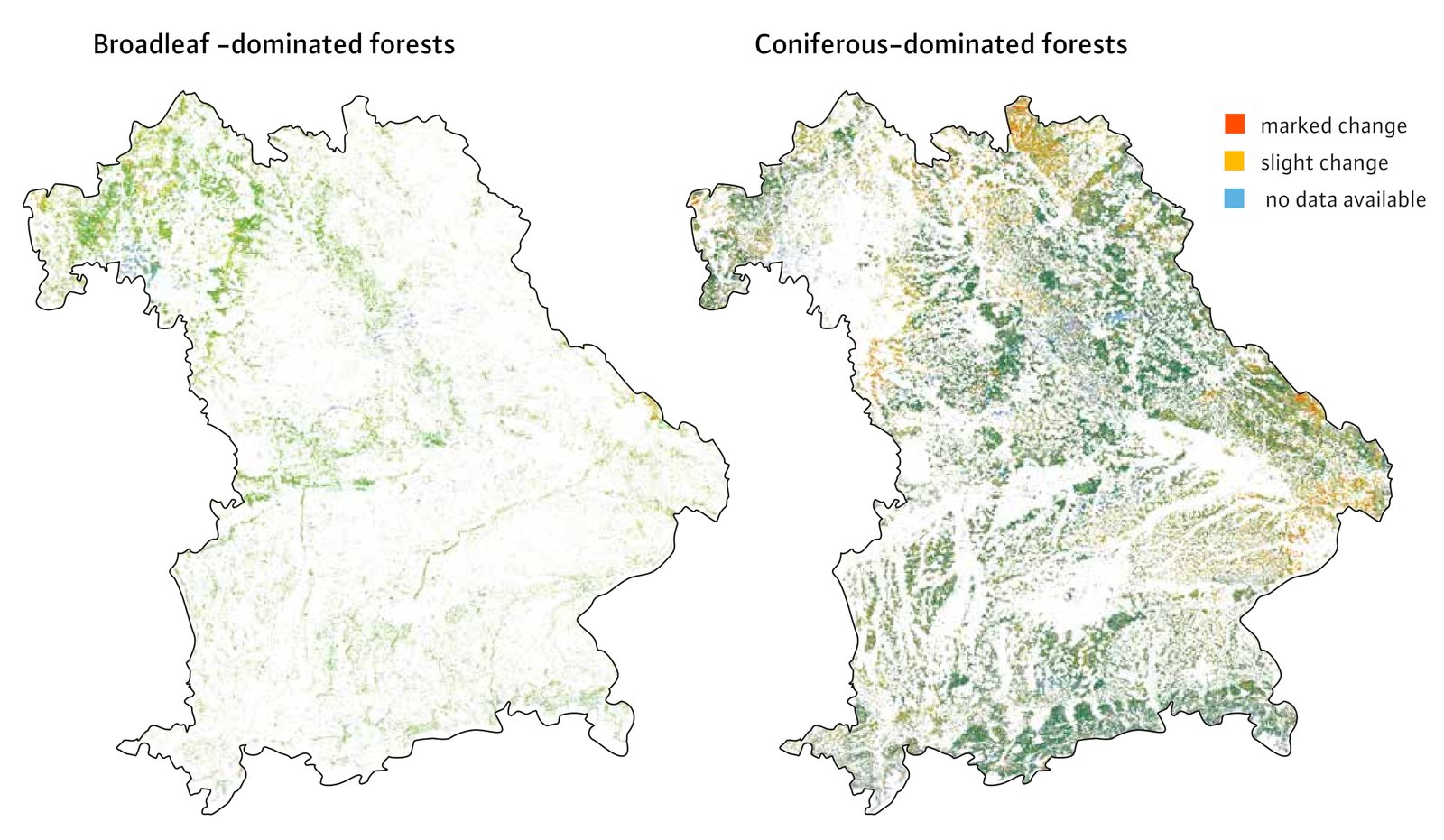 Tracking the forest - with the help of space “sentinels” - waldwissen.net