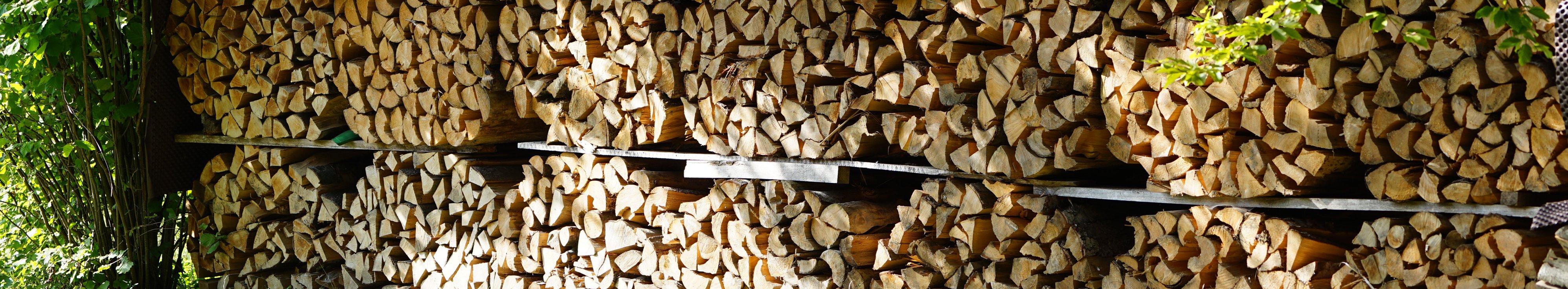 Waldwissen.net – Wald, Forstpraxis, Waldwirtschaft