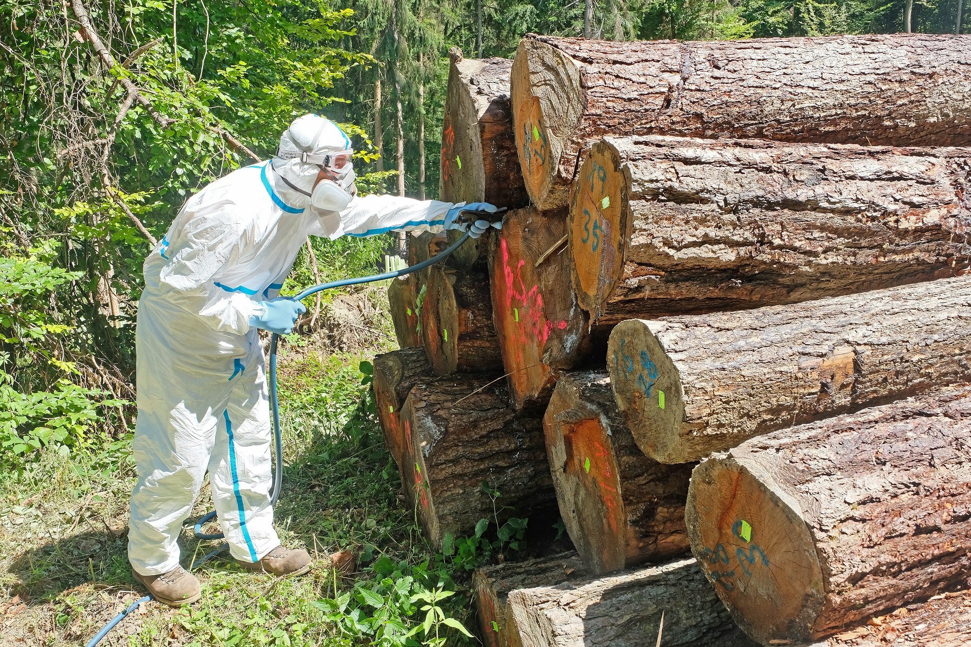 Pflanzenschutzmittel im Borkenkäfermanagement - waldwissen.net