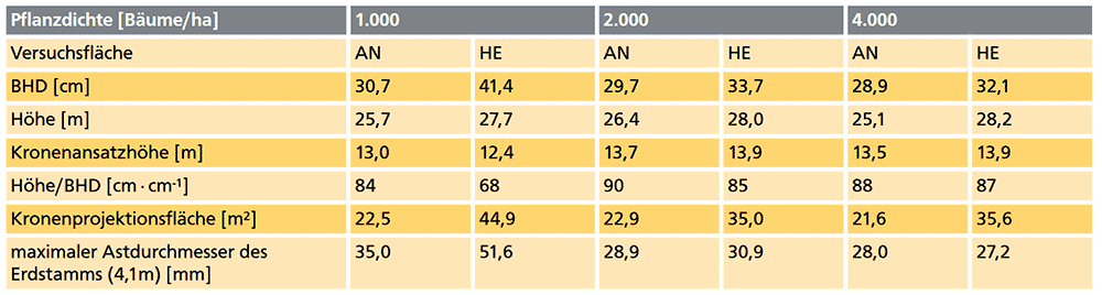 Douglas fir: wood sorting and sawn wood yield