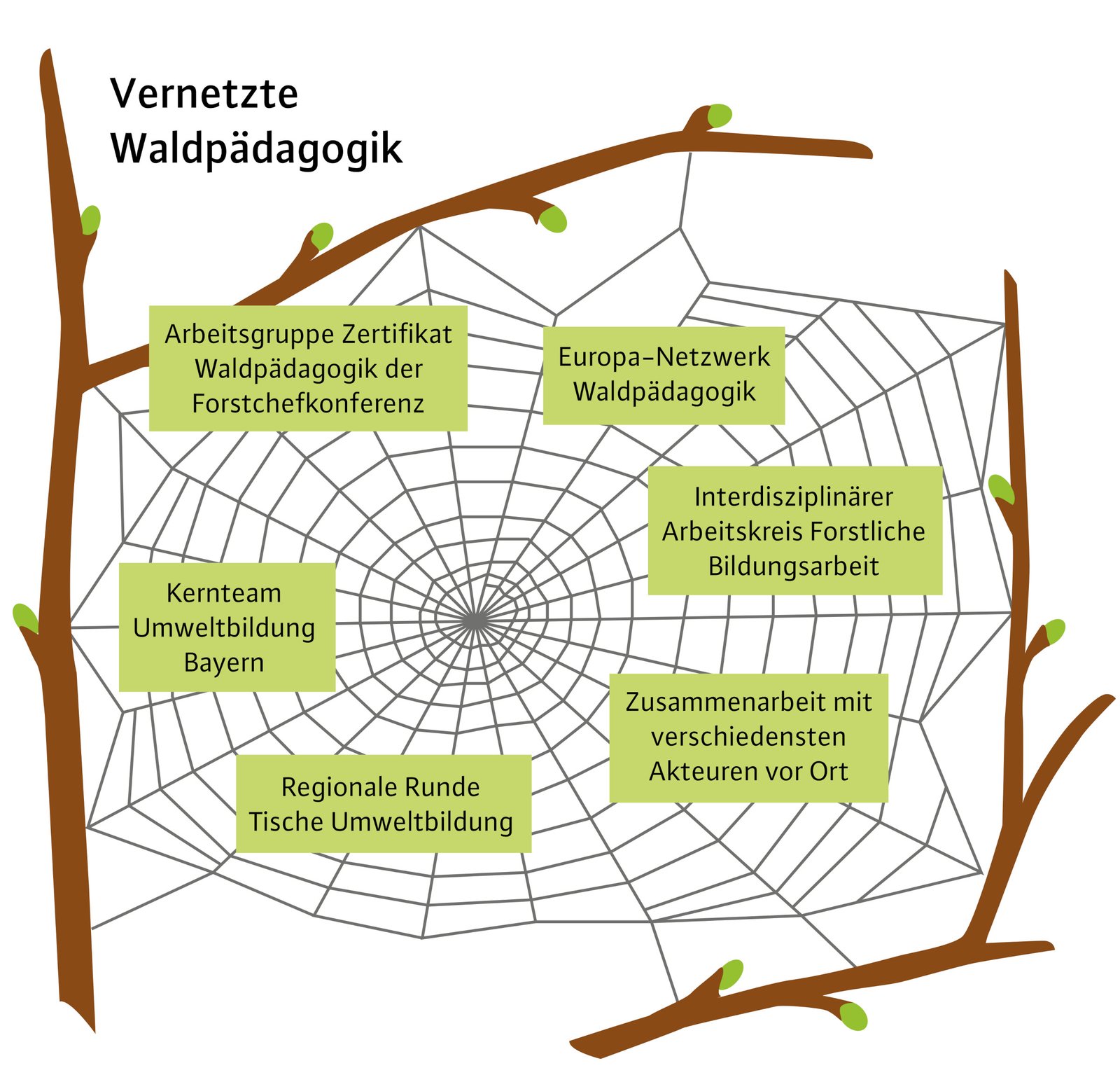 Universalschlüssel Waldpädagogik - waldwissen.net