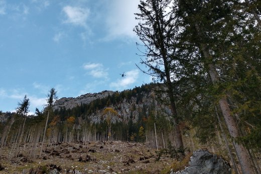 Sowing by drone on calamity areas - waldwissen.net