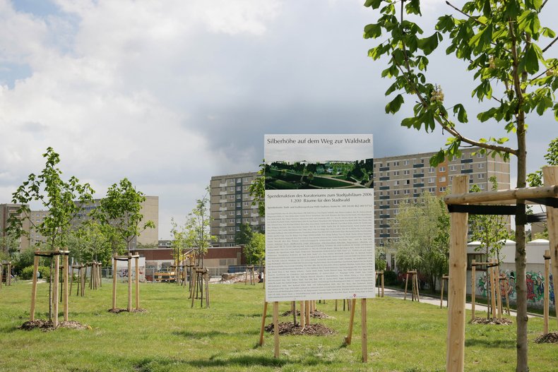 La forêt urbaine - premières expérimentations