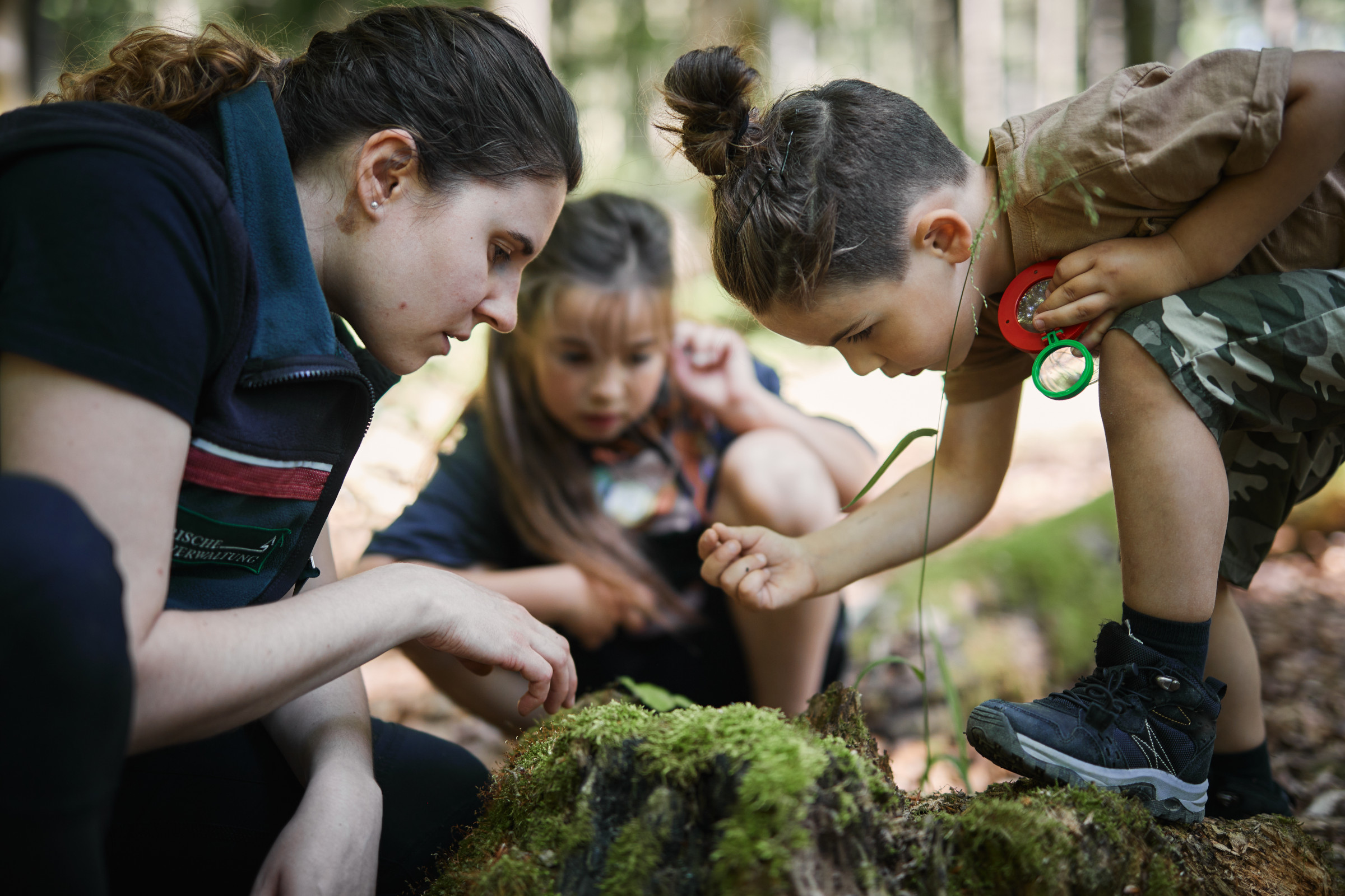 Forest education in Europe - new ideas for the future - waldwissen.net