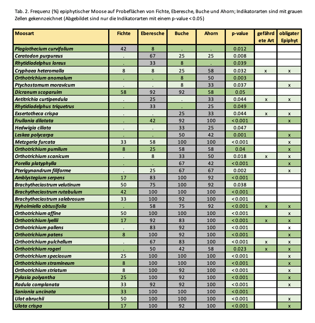 Die Rückkehr der Epiphyten in Waldökosysteme im Erzgebirge