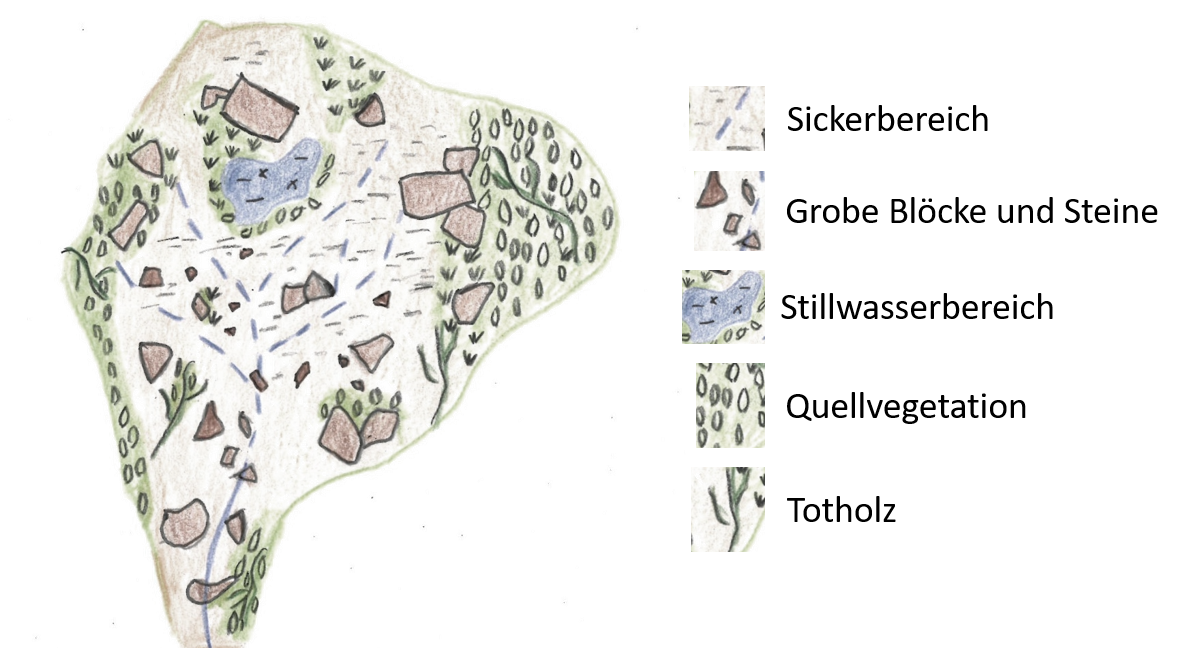 Aufbau und Strukturen von kleinen Fließgewässern im Wald - waldwissen.net