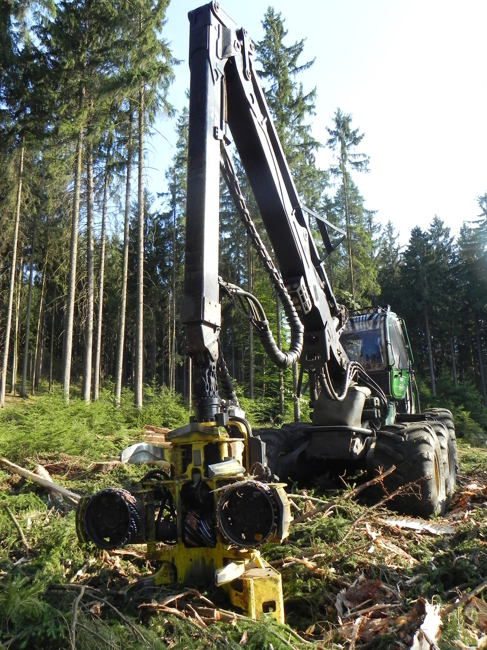 Debarking to contain bark beetle threat - waldwissen.net