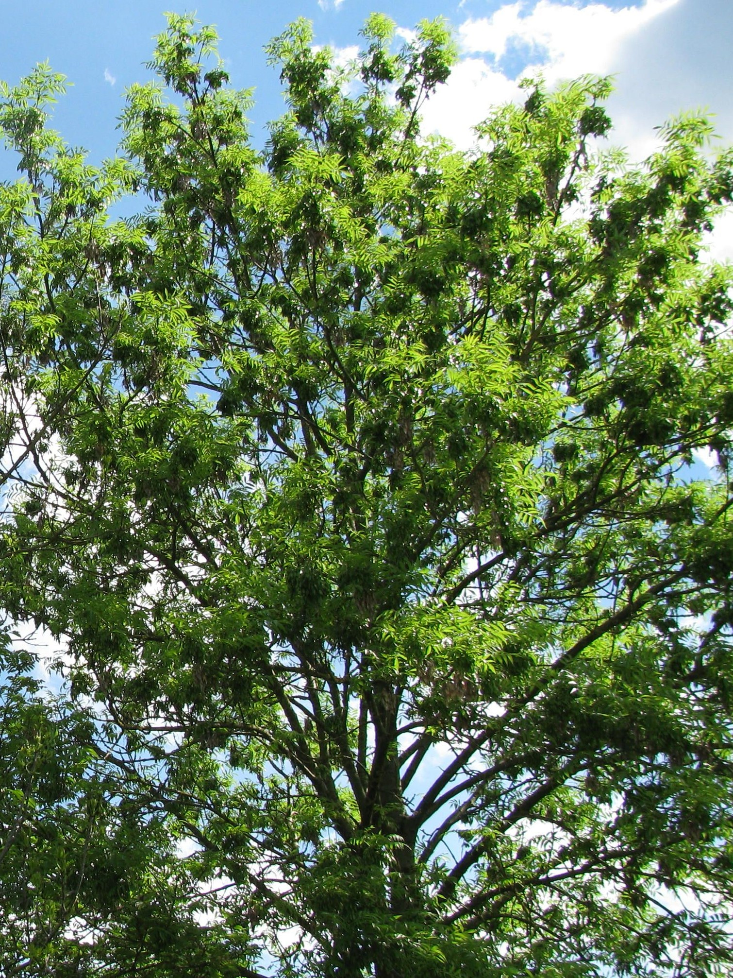 Zukunft ungewiss? Ökonomische und ökologische Folgen des ...