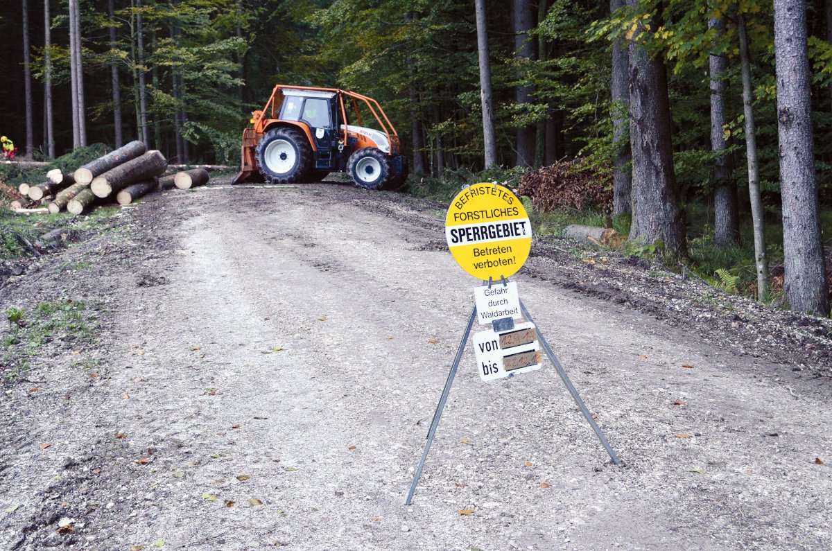Haftungsfragen bei der Holzernte