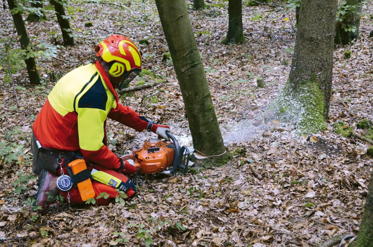 Sicheres Arbeiten – gelernt ist gelernt