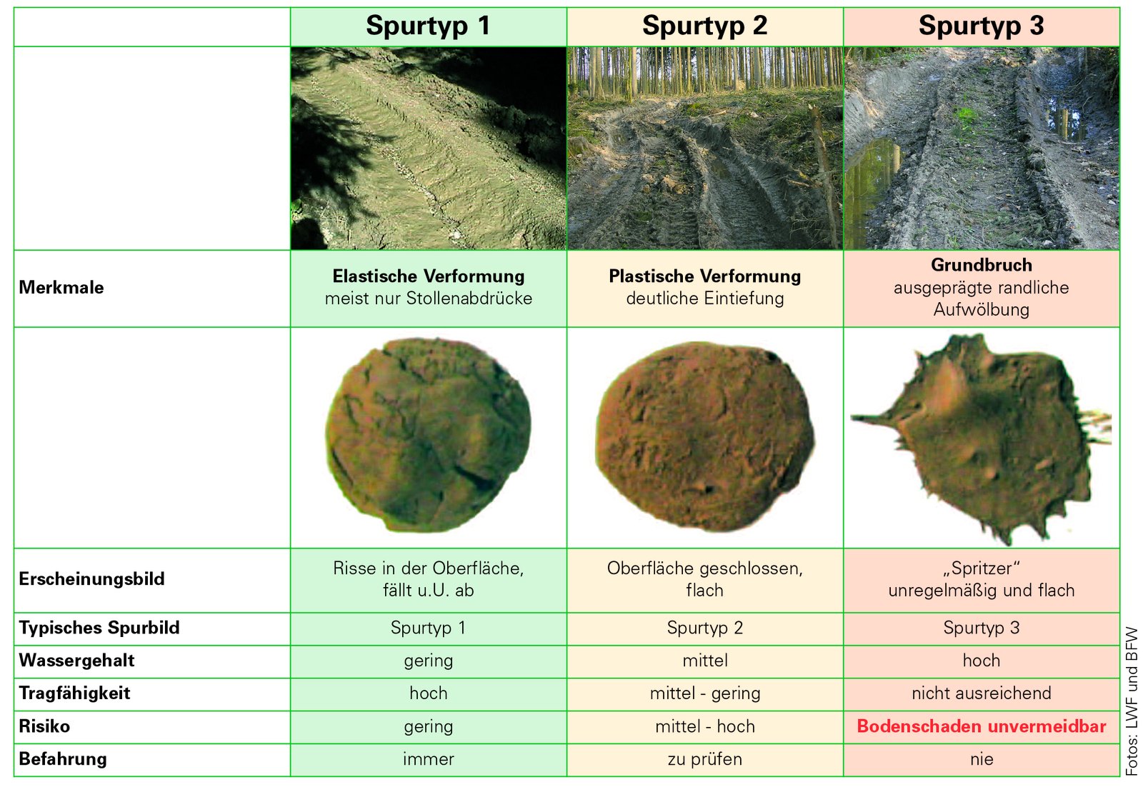 Boden unter Druck – sind Bodenschutz und Holzernte vereinbar?